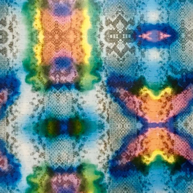 DIP WIZARD HYDROGRAPHIC DIP KIT TYE DYE RAINBOW SNAKE SKIN – Dip Pros