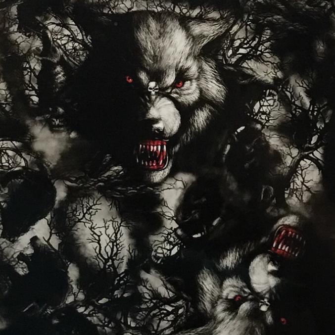 DIP WIZARD HYDROGRAPHIC DIP KIT BIG BAD WOLF – Dip Pros