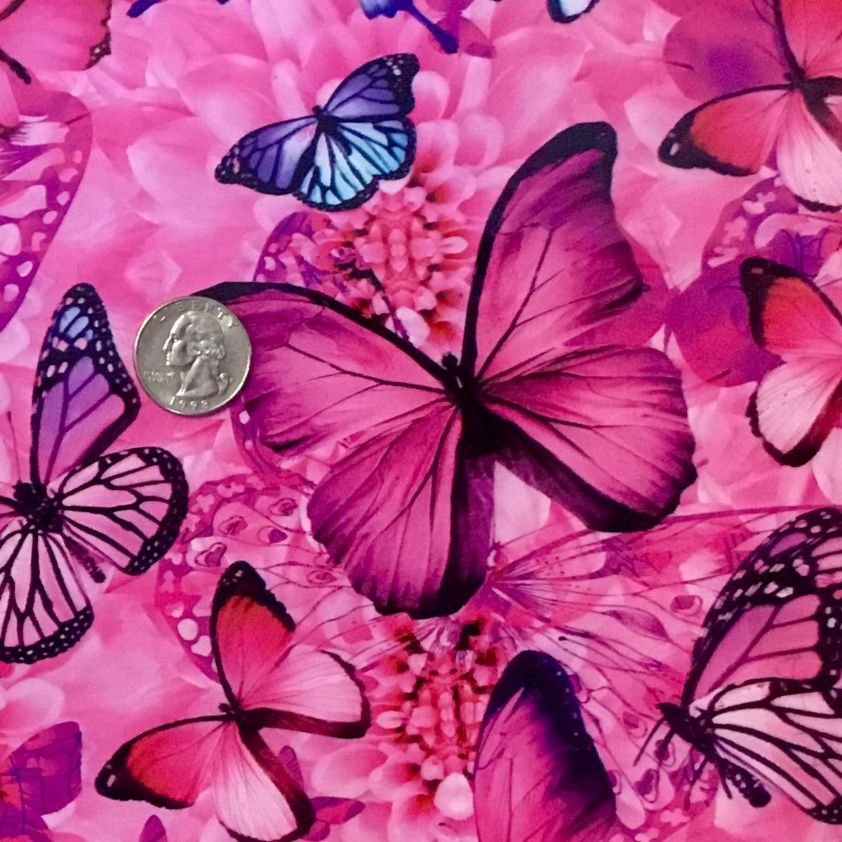 PINK/BLUE BUTTERFLIES HYDROGRAPHIC FILM – Dip Pros