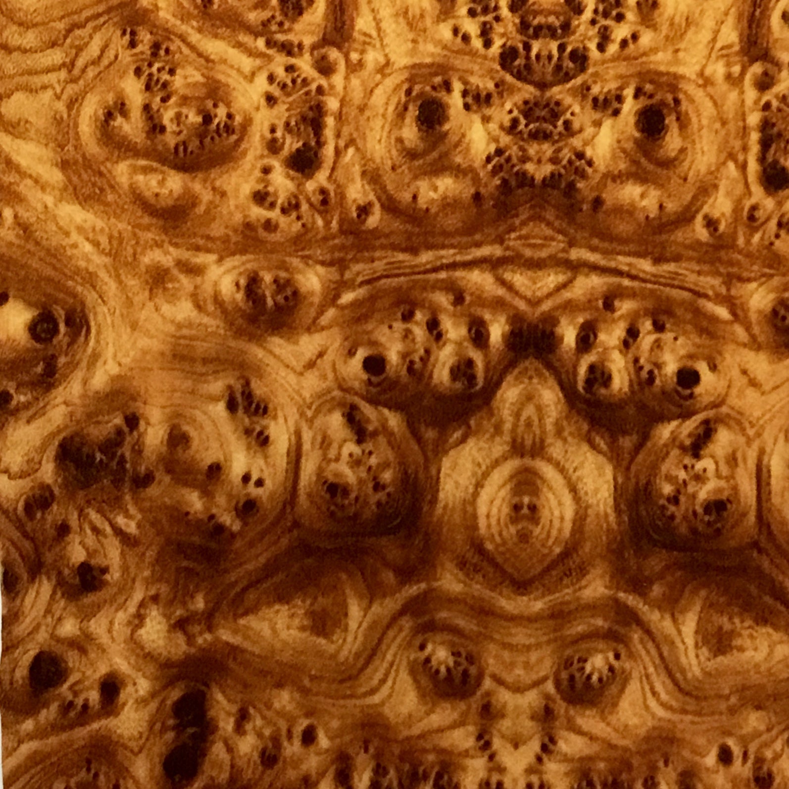 HONEY BLONDE BURL WOOD HYDROGRAPHIC FILM – Dip Pros