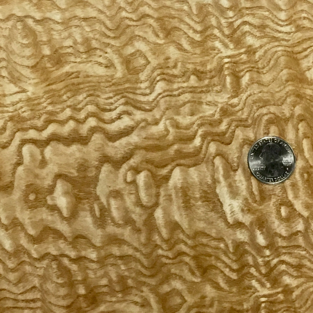 RIPPLE WOOD HYDROGRAPHIC FILM – Dip Pros