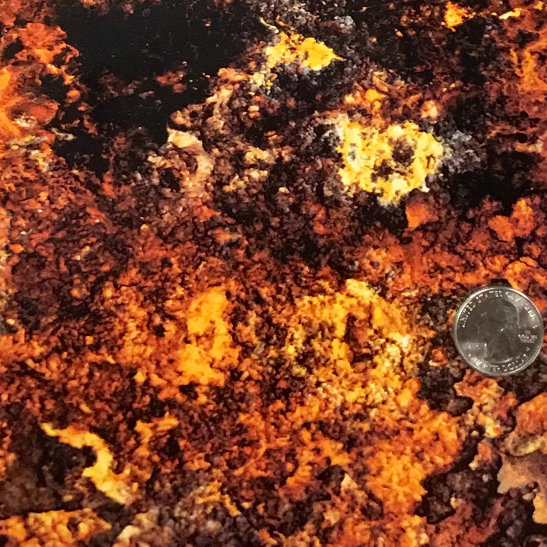 RUST 3 HYDROGRAPHIC FILM – Dip Pros