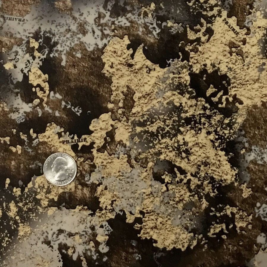 TRUE TIMBER CAMO PRAIRIE HYDROGRAPHIC FILM – Dip Pros